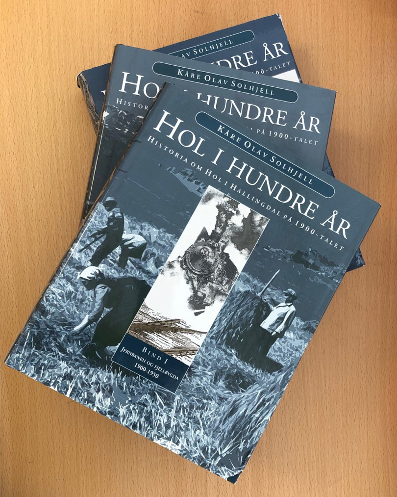 Tilbud bygdebøker - Hol kommune